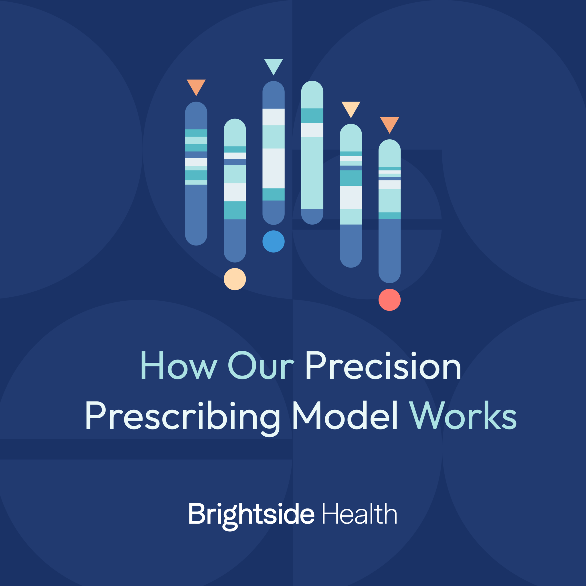 How Our Precision Prescribing Model Works - Brightside